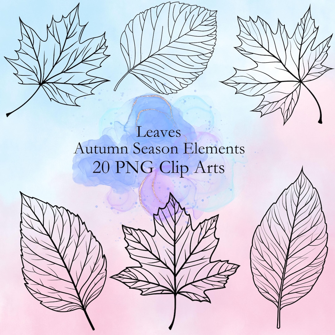 Autumn Leaves Clipart Bundle: Black Line Art (20 PNG) - Etsy