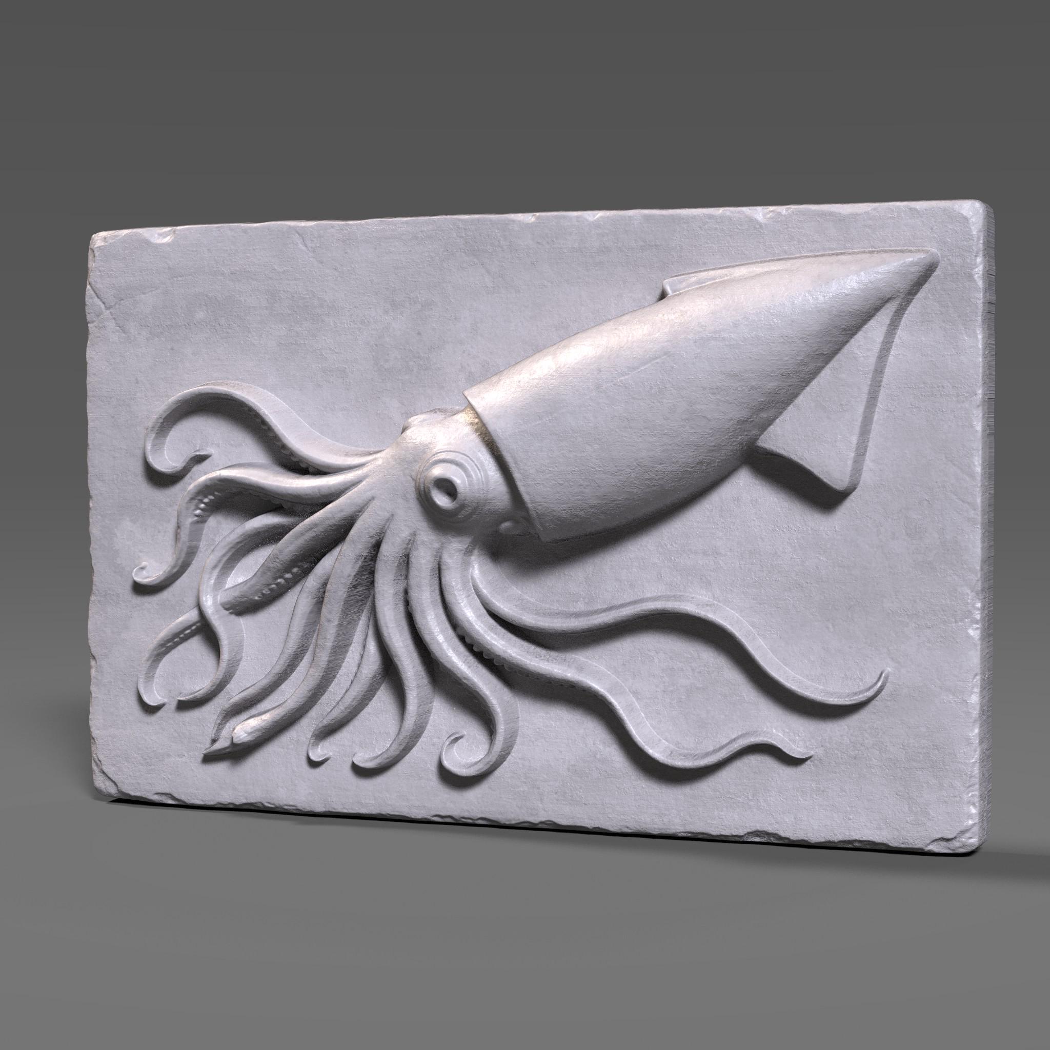 Squid Bas Relief 3D Model: CNC Laser Engraving (STL + Depth Map) - Etsy