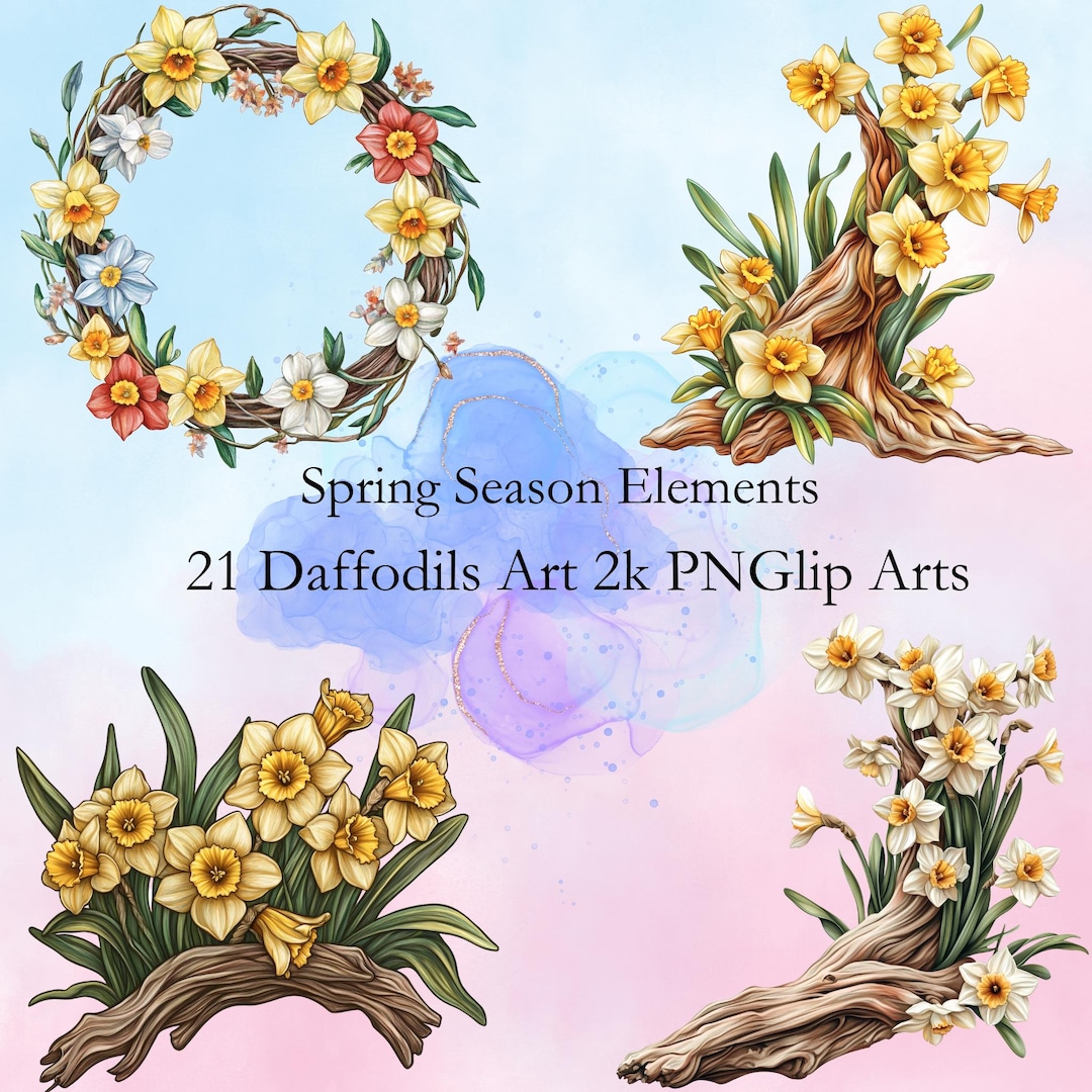 Daffodils,flower,clipart Bundle,spring,water Color Art -21 PNG 2k Res ...
