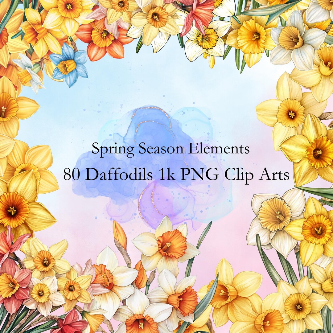 Daffodils,flower,clipart Bundle,spring,water Color Art -85 PNG 1k Res ...