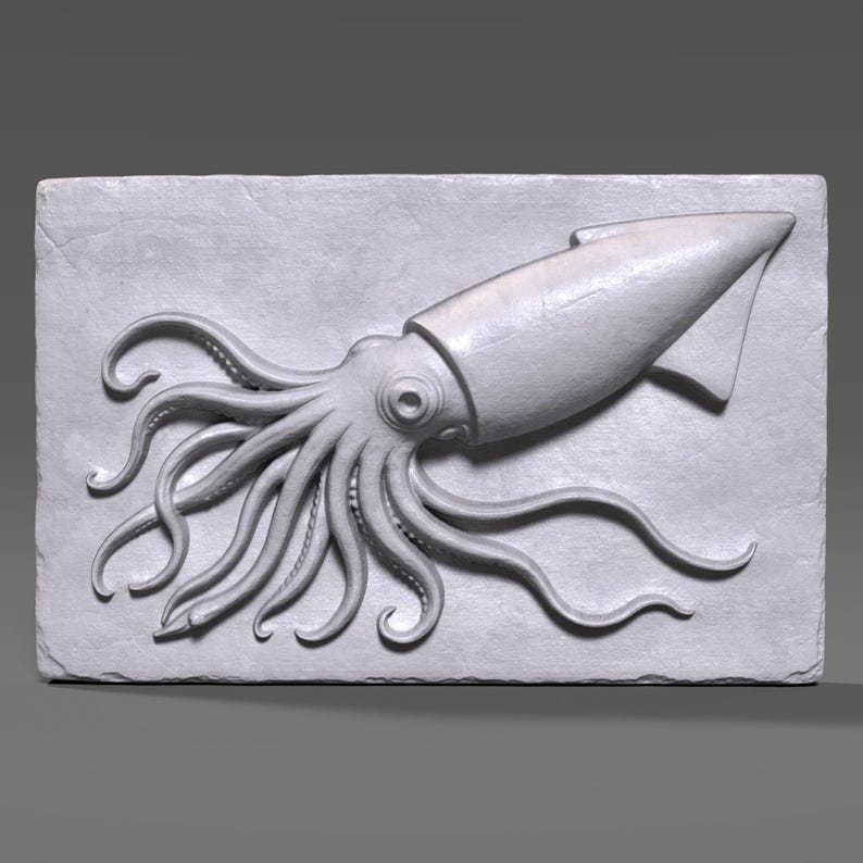 Squid Bas Relief 3D Model: CNC Laser Engraving (STL + Depth Map) - Etsy