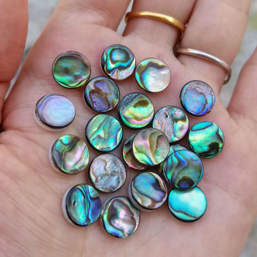 Abalone Shell Round Flatback Both Side Semi Precious Loose for Jewelry ...
