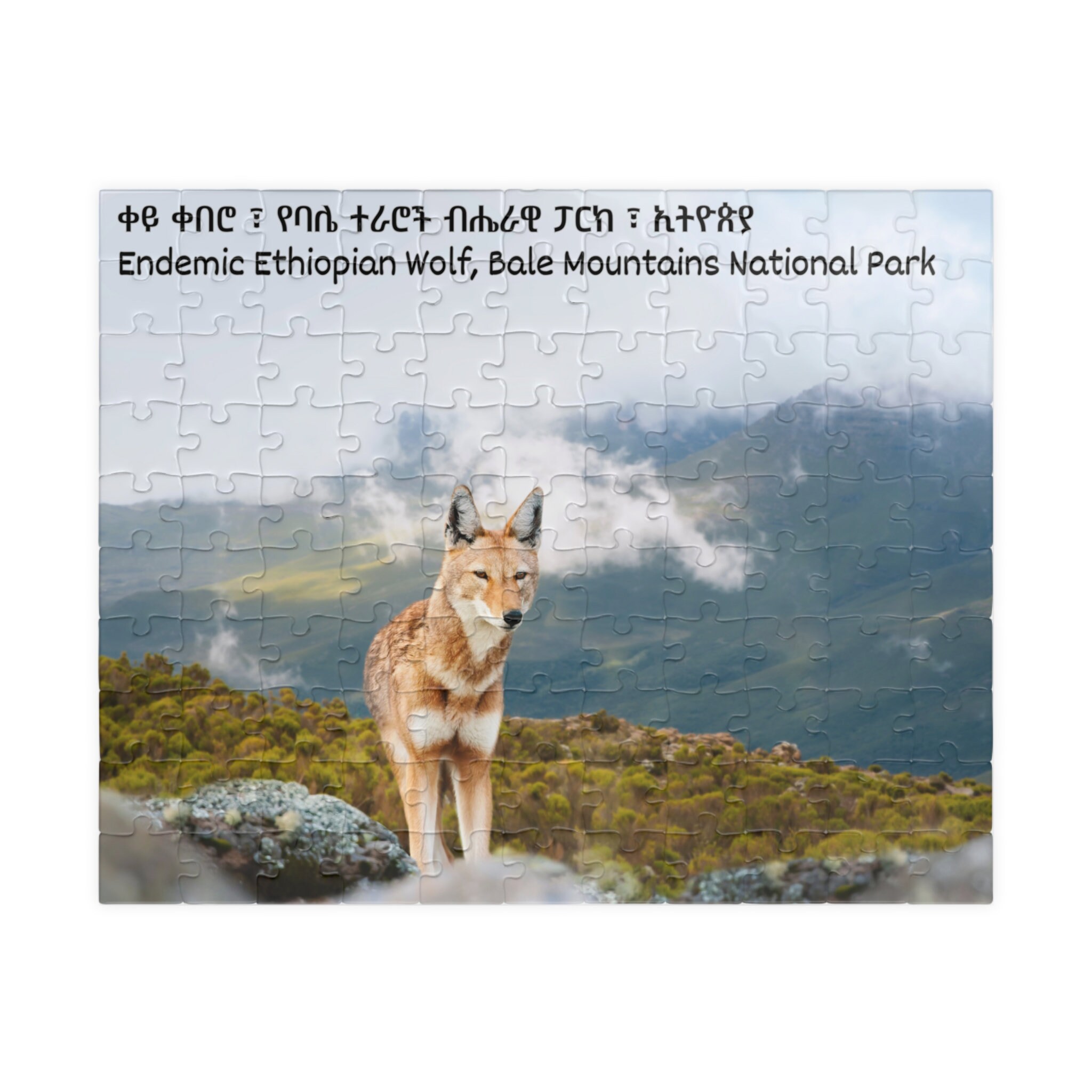 Ethiopian Wolf Red Fox Puzzle, Wildlife Puzzle, Ethiopian Puzzle ...