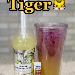 Flavored Water Watertok 250 Recipes With Syrups & Powders - Ebook - Etsy