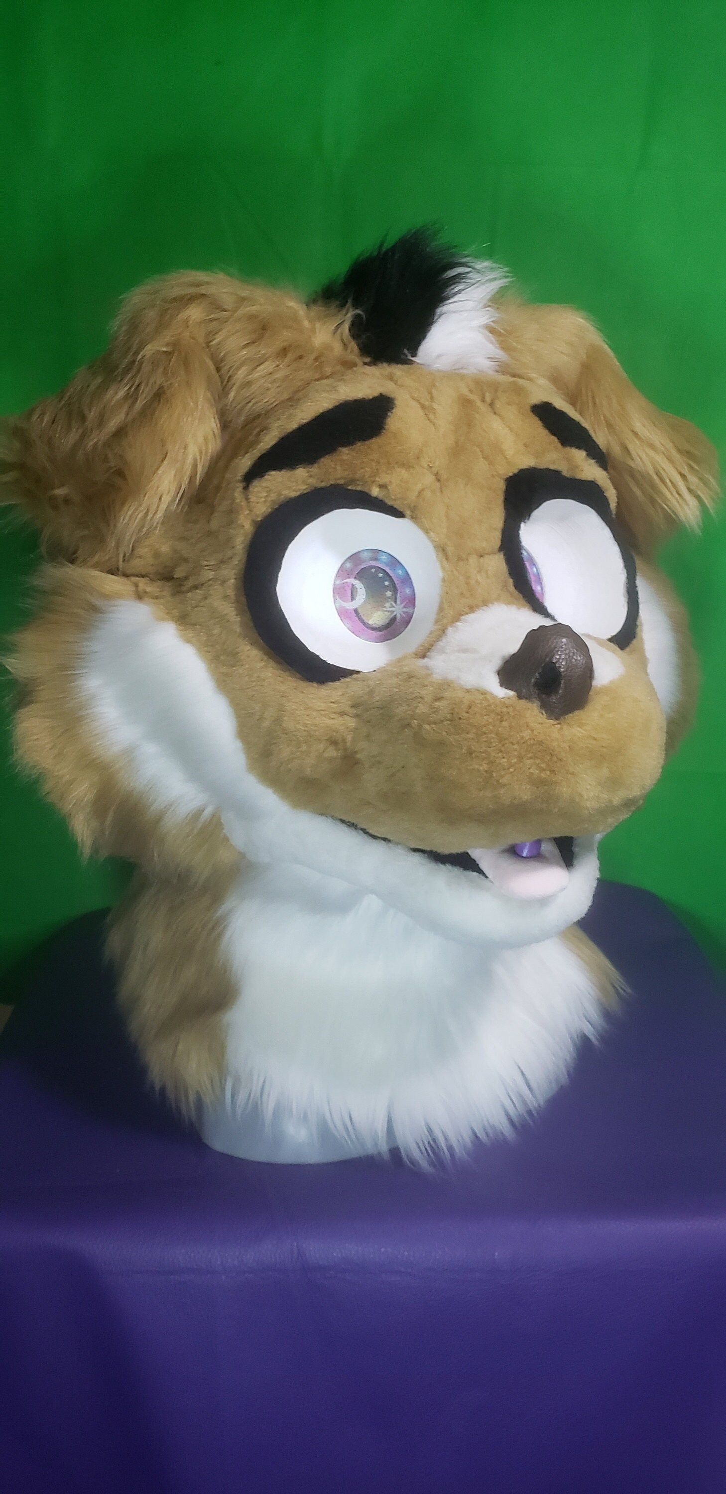 Fursuit Mini-partial labrador SQUEAKY-TOY EARS - Etsy