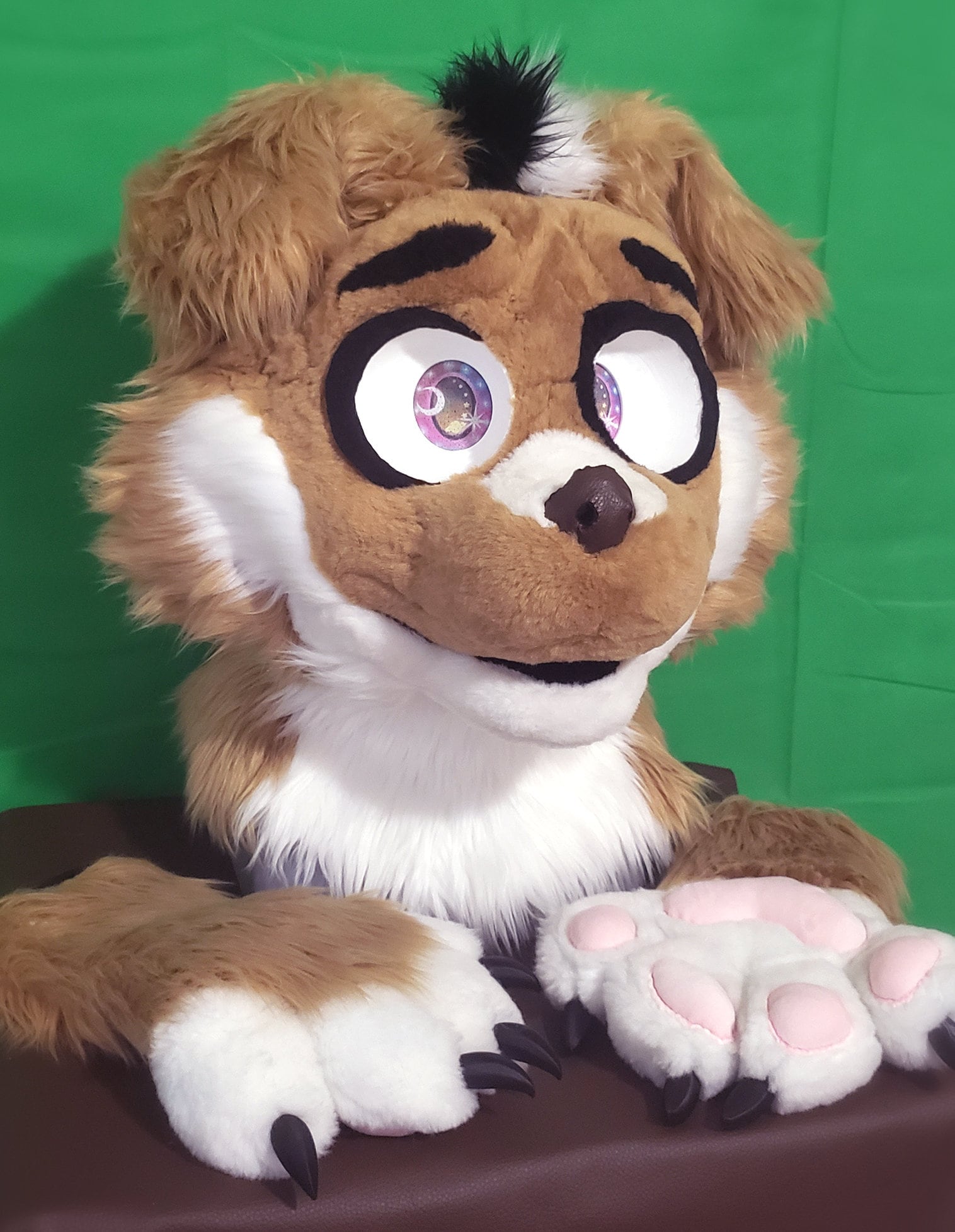 Fursuit Mini-partial labrador SQUEAKY-TOY EARS - Etsy