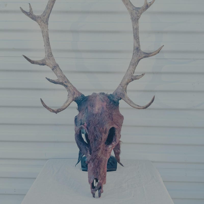 Wendigo Costume - Etsy