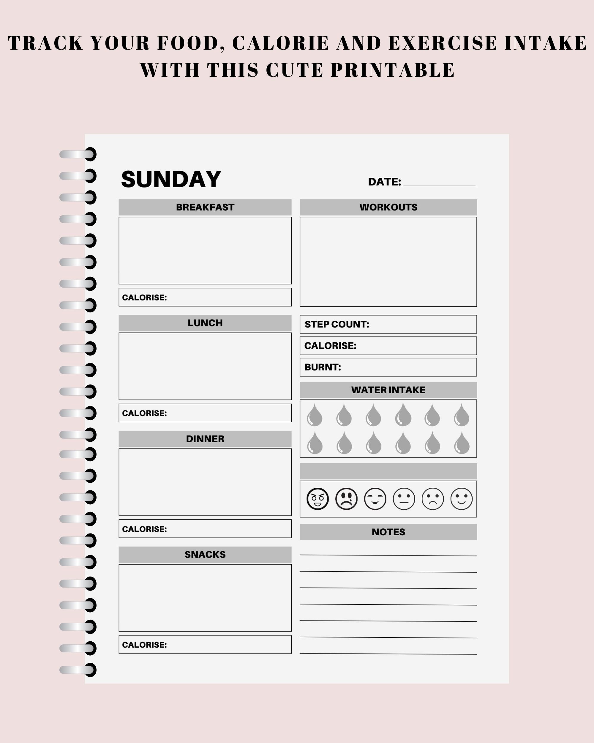 Daily Food Diary Printable, A4 A5 Printable Daily Food Journal ...