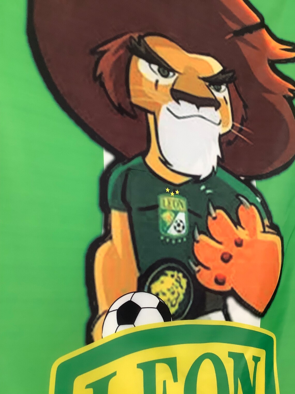 Leon Mexico New 3x5' Flag Futbol Soccer Wall Decor Banner Panzas Verdes ...