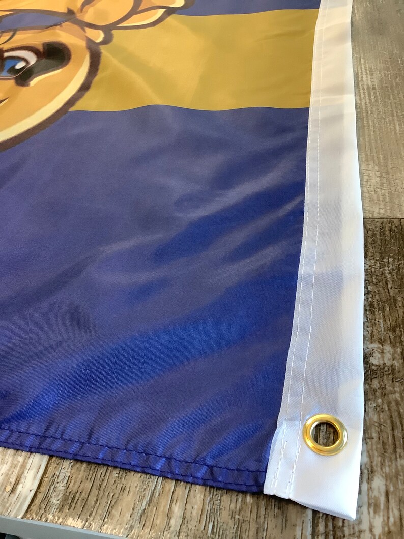 Pumas UNAM Mexico Futbol Soccer New Flag 3x5' Sports - Etsy