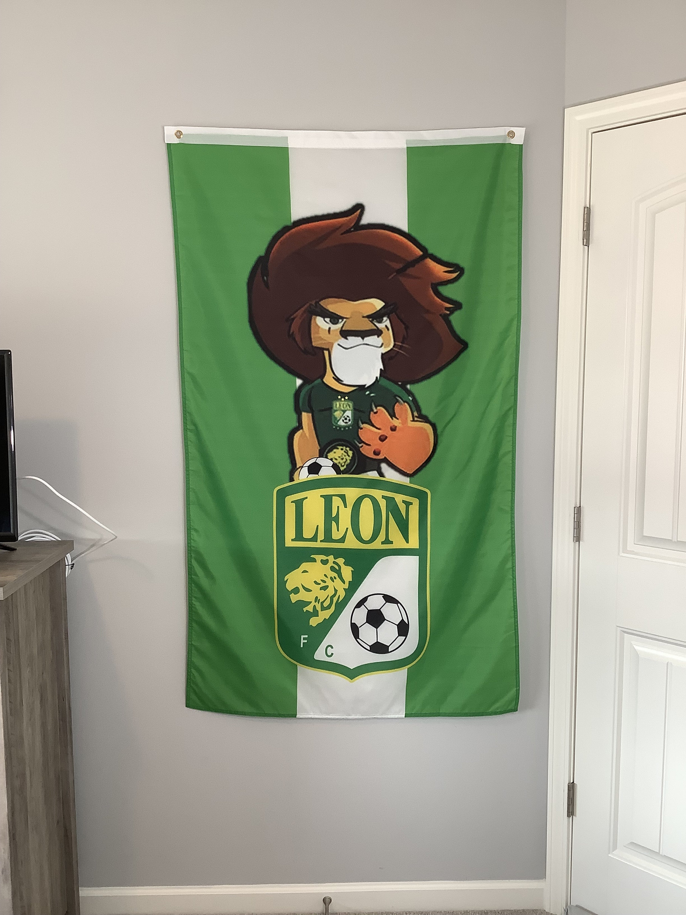 Leon Mexico New 3x5' Flag Futbol Soccer Wall Decor Banner Panzas Verdes ...
