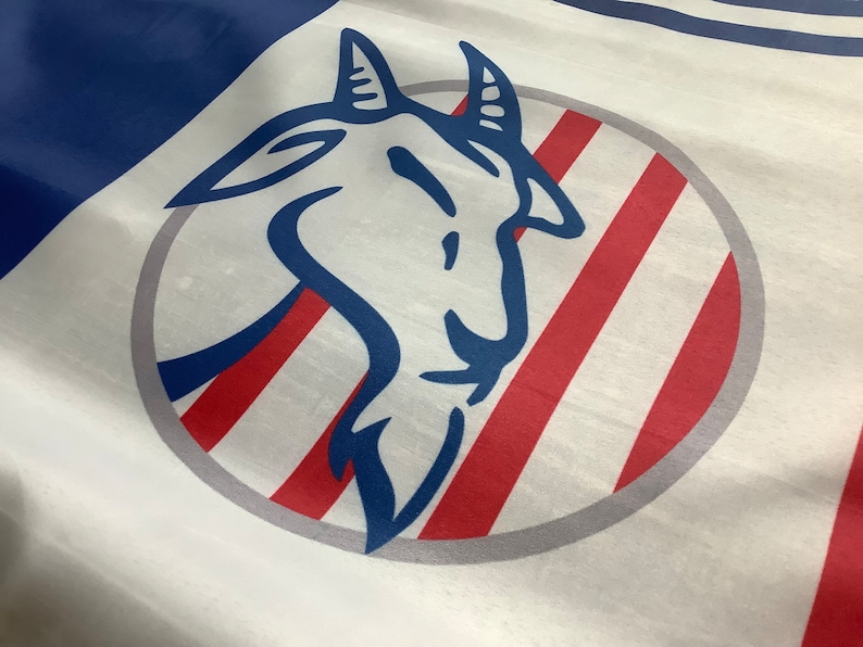 Chivas Retro Mexico Guadalajara New 3x5' Soccer Flag - Etsy