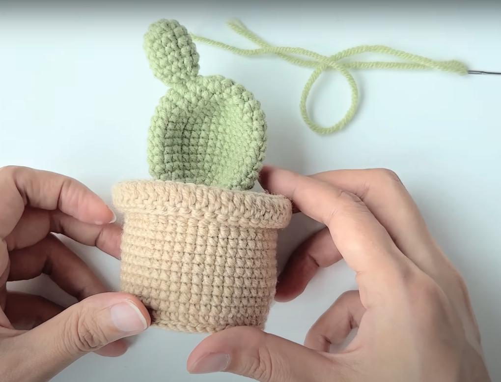 Cactus Plant Crochet Pattern - Digital PDF English - US Terms - DIY - Etsy