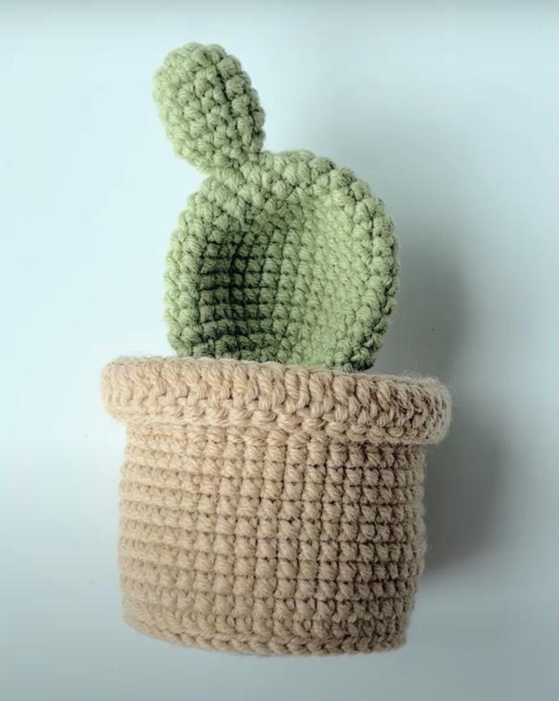 Cactus Plant Crochet Pattern - Digital PDF English - US Terms - DIY - Etsy