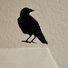Set of Crows Vinyl Decal Halloween Decoration - Etsy