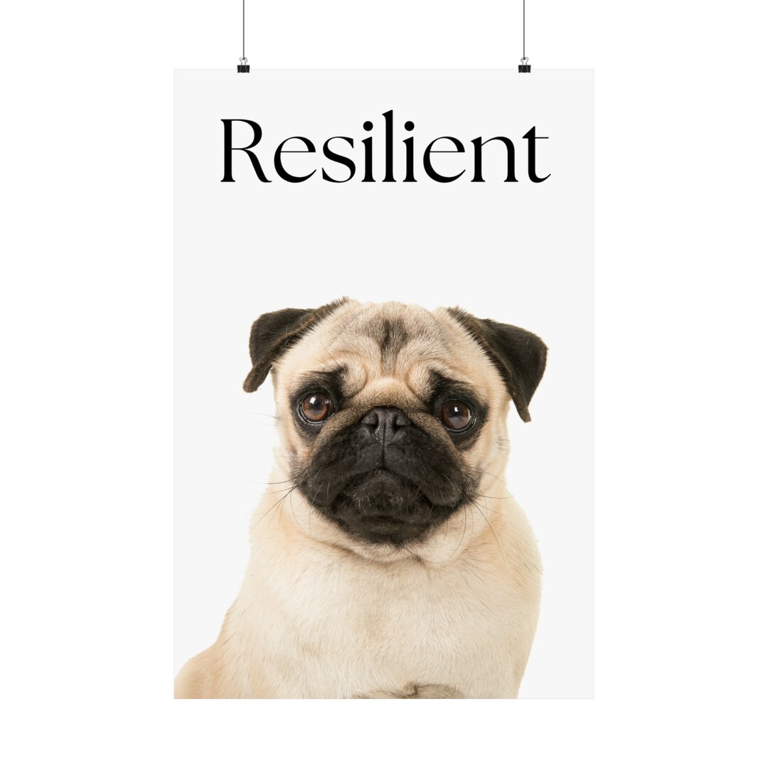 Motivational Words for Kids Teens and Adults, Pug Dog With Motivational ...