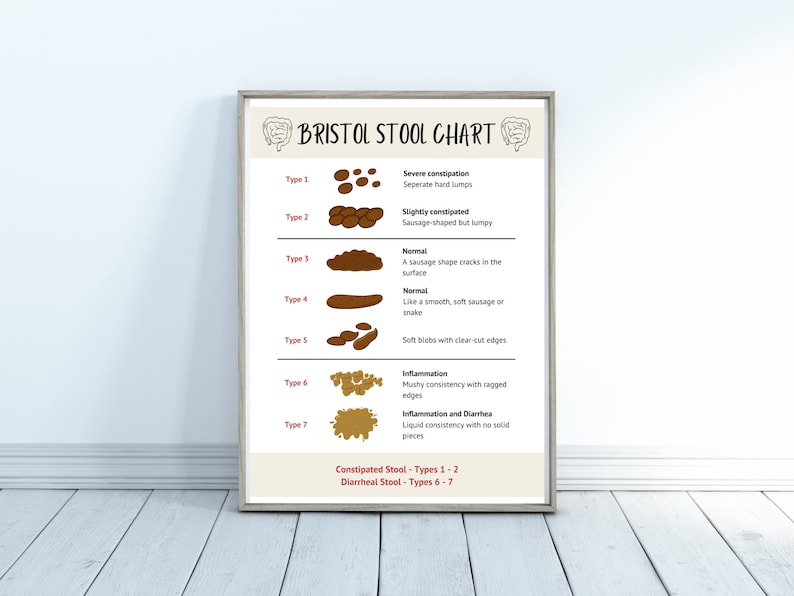 Gráfico de heces de Bristol Rastreador de salud digestiva Caca ...