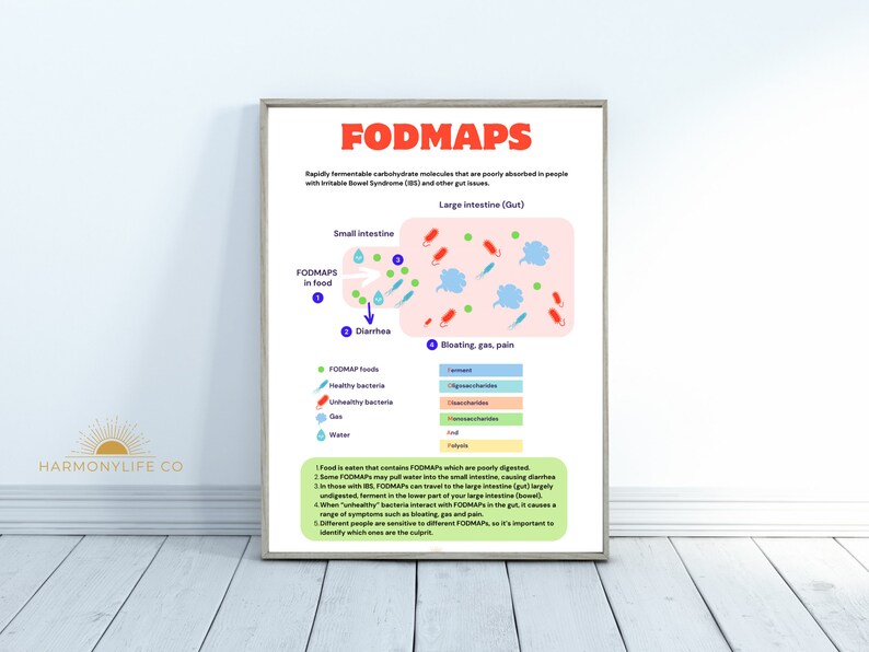 FODMAP Diet Food Guide, Low and High FODMAP Grocery List, IBS Food List ...