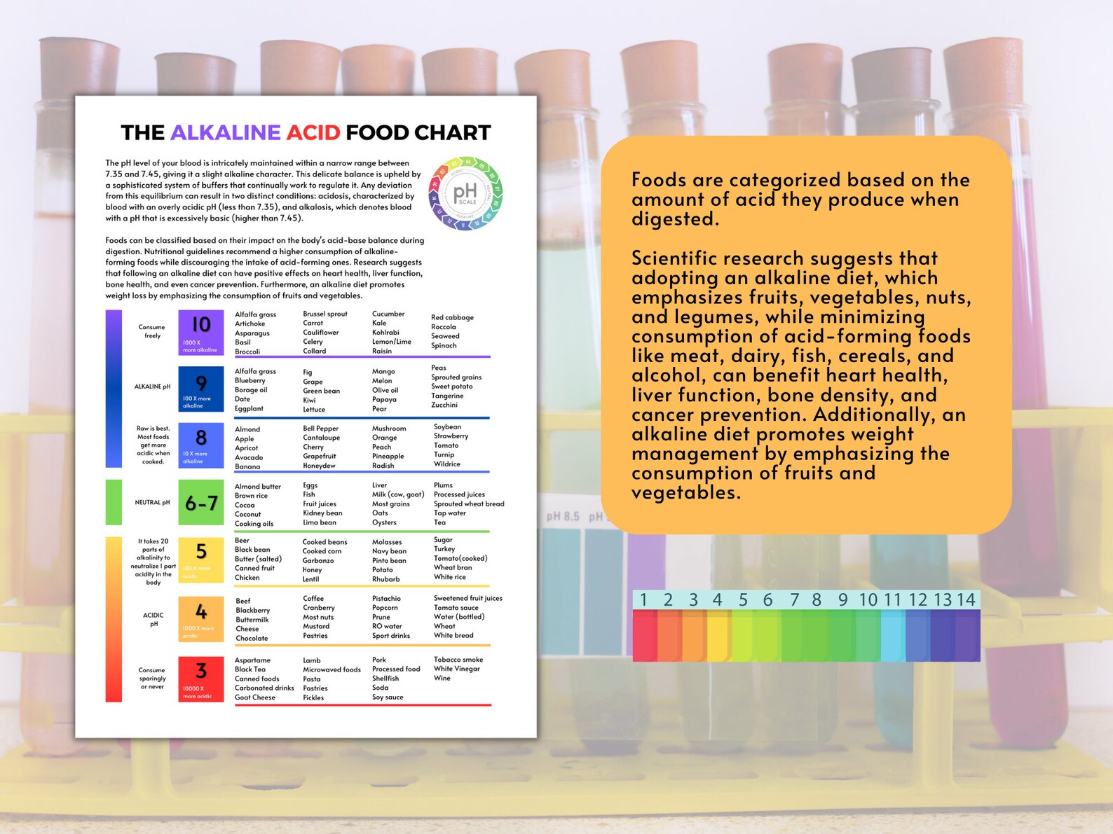 The Alkaline Acid Food Chart Poster Shopping List for Alkaline Diet ...