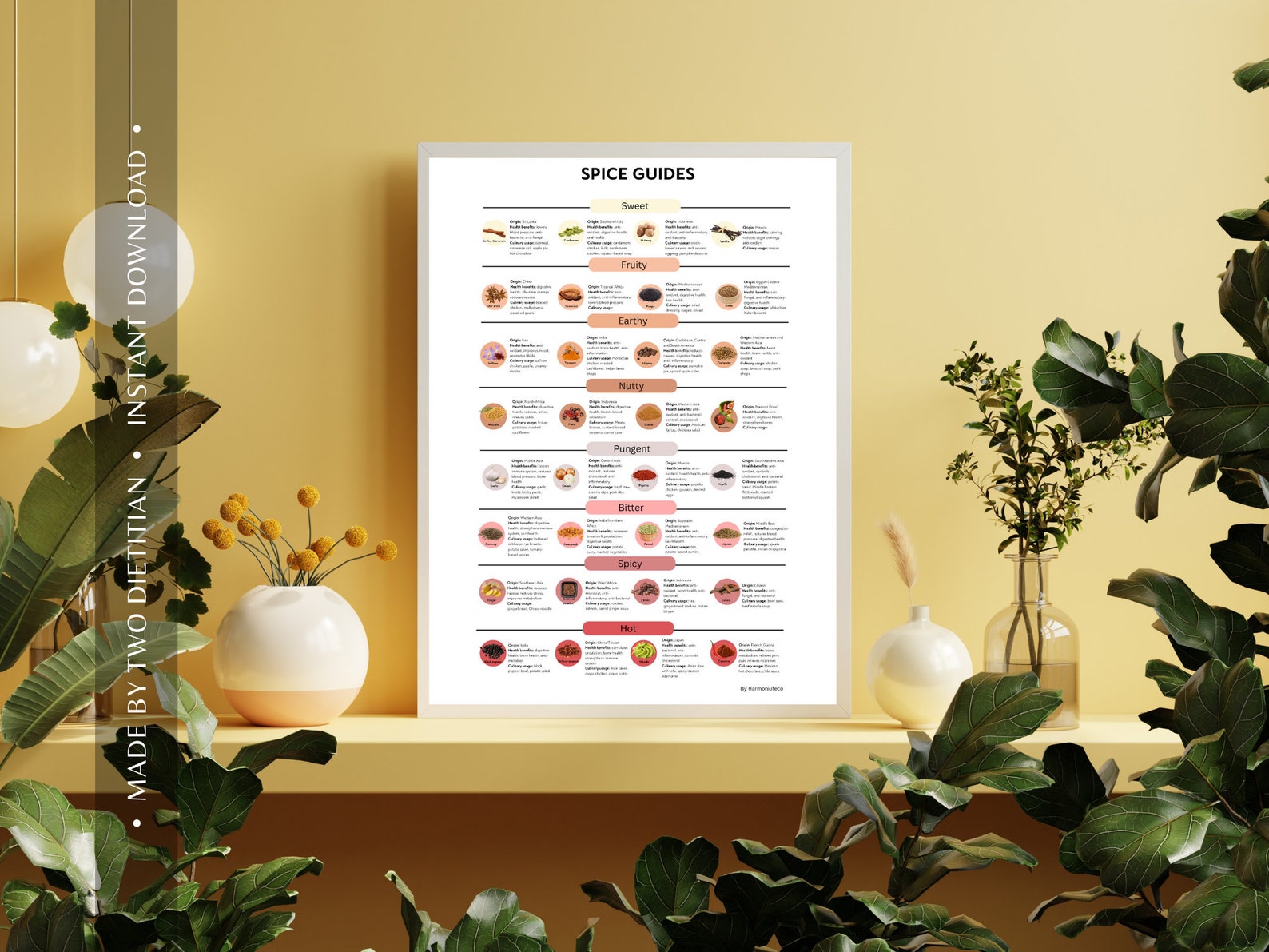 Exquisite Spice Guide Poster: Explore Flavors From Around the World ...
