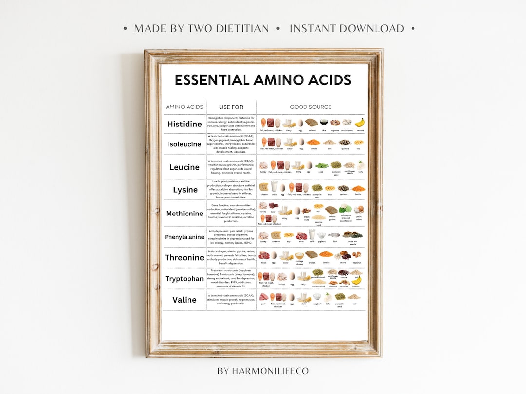Maximize Your Performance: the Essential Amino Acids Chart, Amino Acids ...