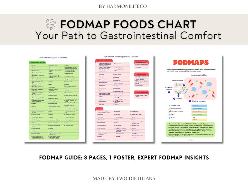 Guide Alimentaire De Régime Fodmap Liste Dépicerie Etsy France