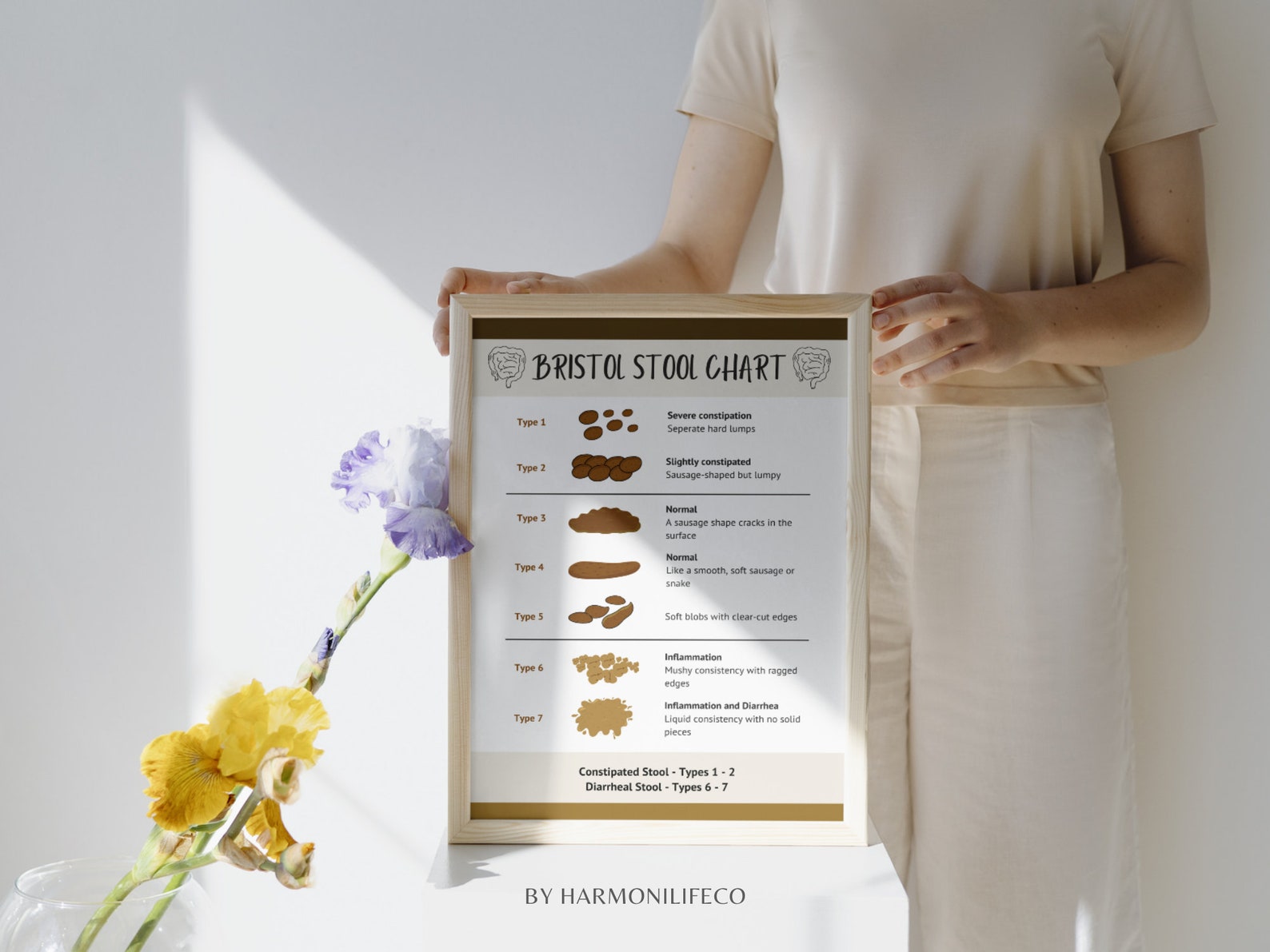 Bristol Stool Chart Digestive Health Tracker Healthy Poop Bowel ...