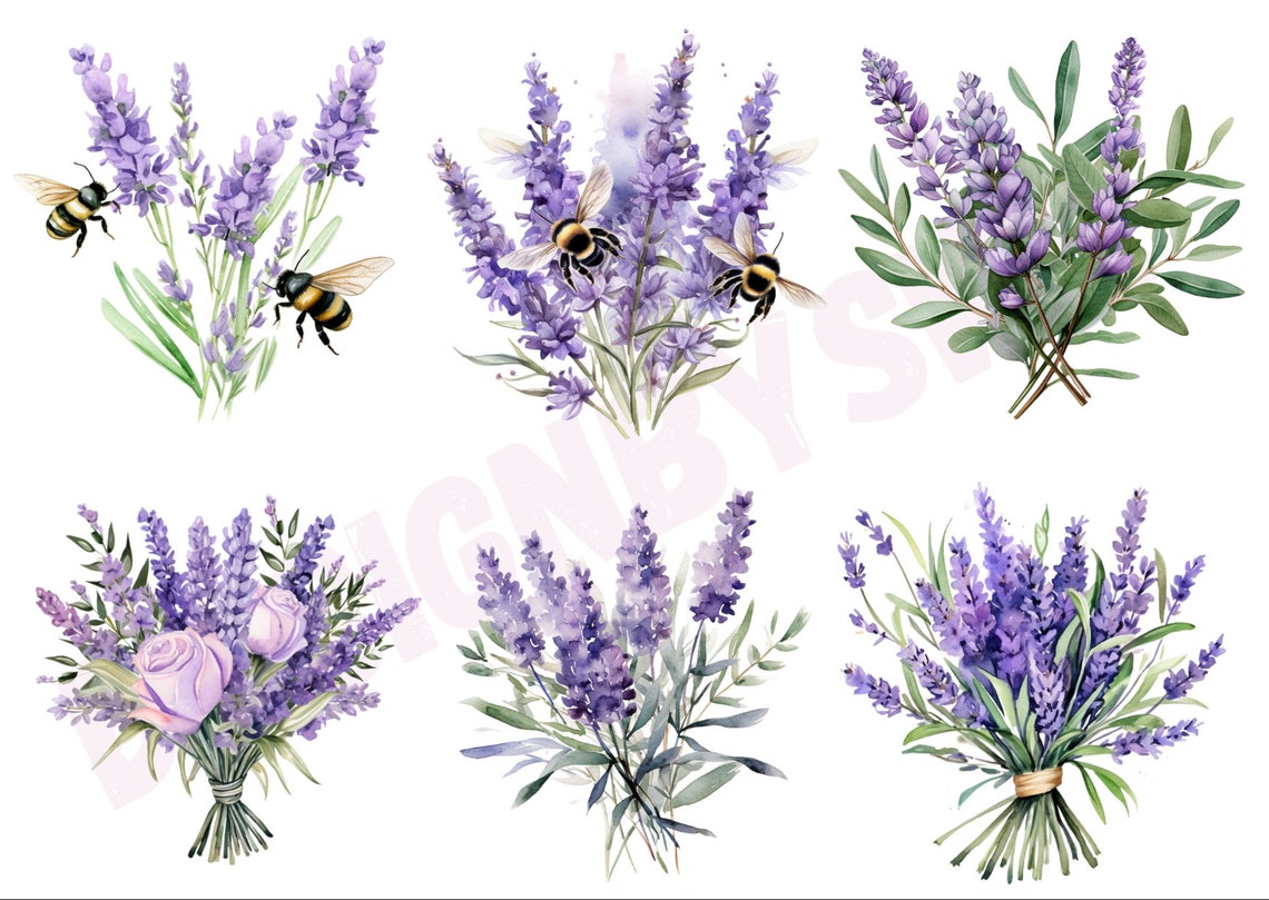 Floral Watercolor Clipart - Lavender Flowers Clipart - Purple Flowers ...