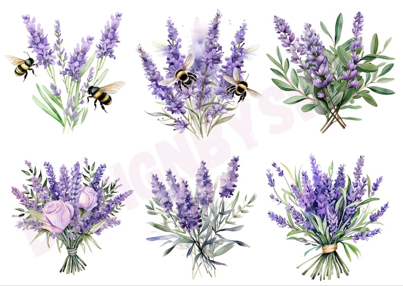 Floral Watercolor Clipart Lavender Flowers Clipart Purple - Etsy