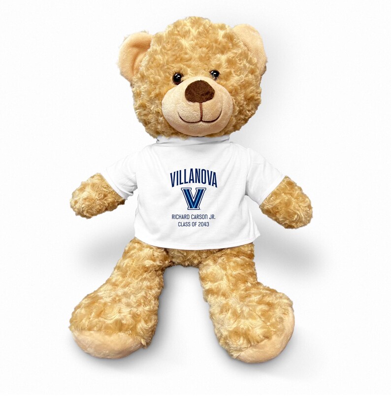 Custom School Logo Teddy Bear, Graduation Gift, Plush Alumni Keepsake ...