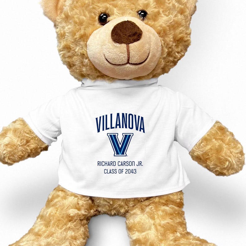 Custom School Logo Teddy Bear, Graduation Gift, Plush Alumni Keepsake ...