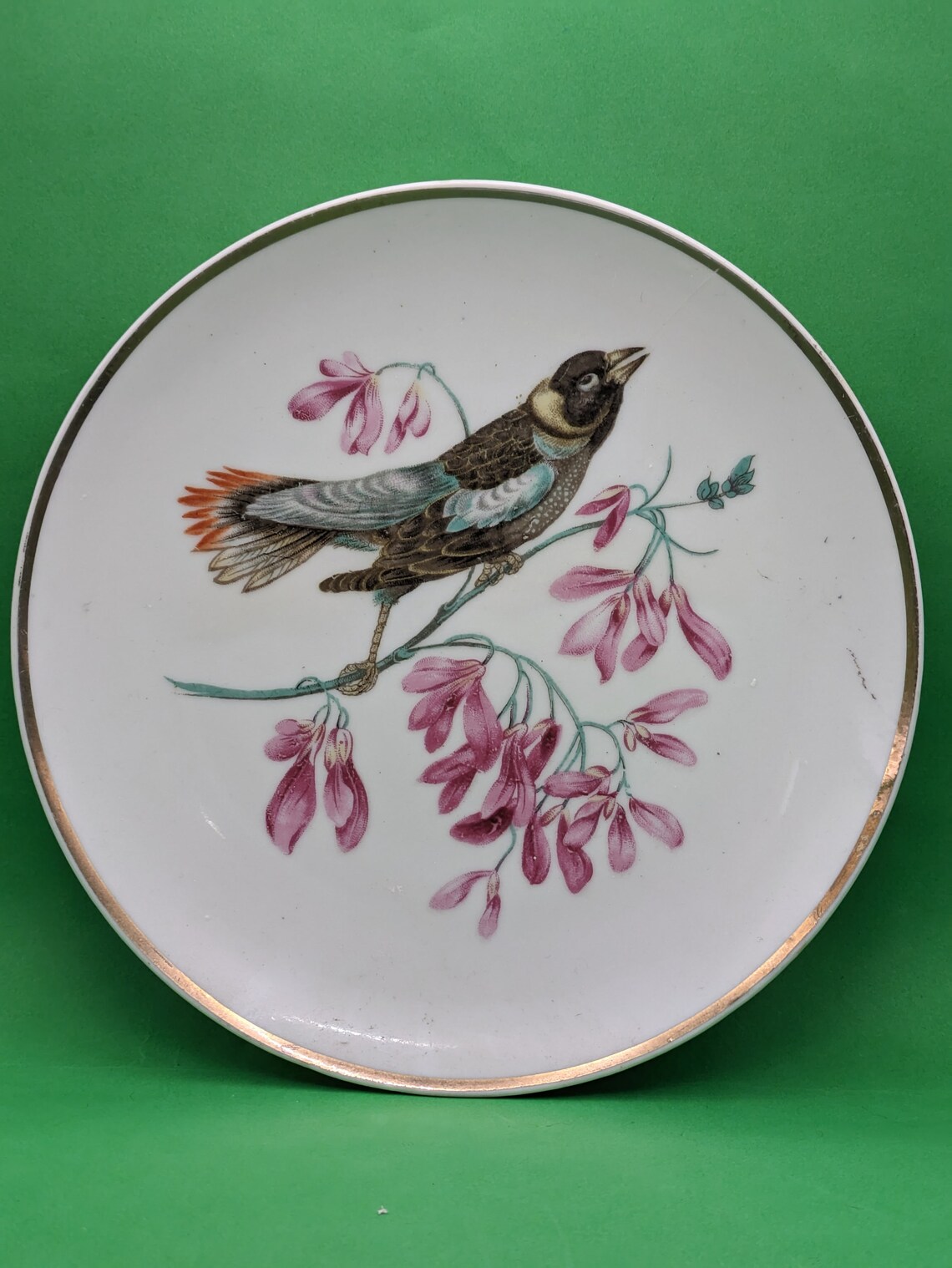 Vintage Lipper and Mann Creations Bird Plate - Etsy