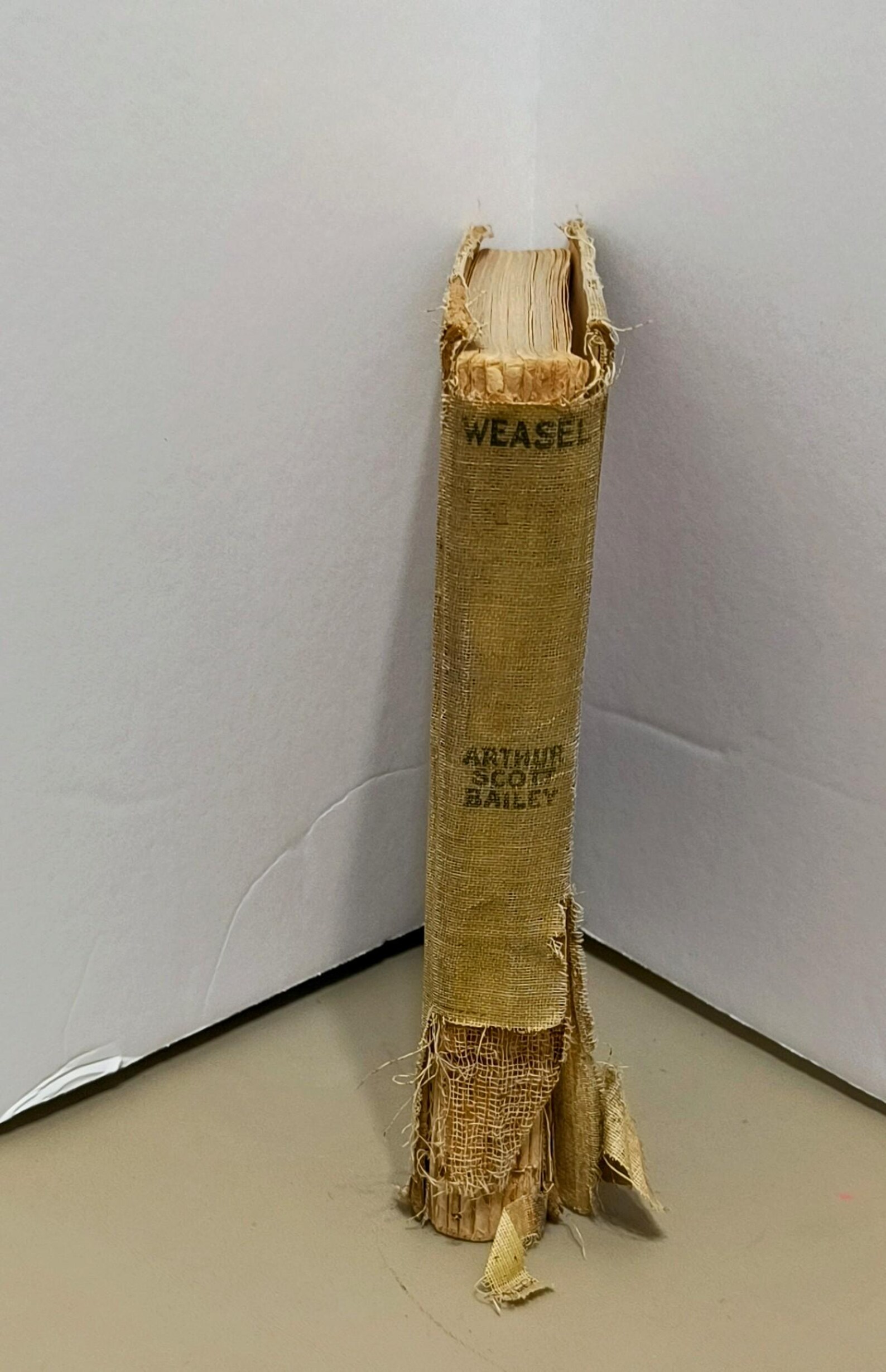 Antique Book, 104 Year Old Copy of "the Tale of Grumpy Weasel," by ...