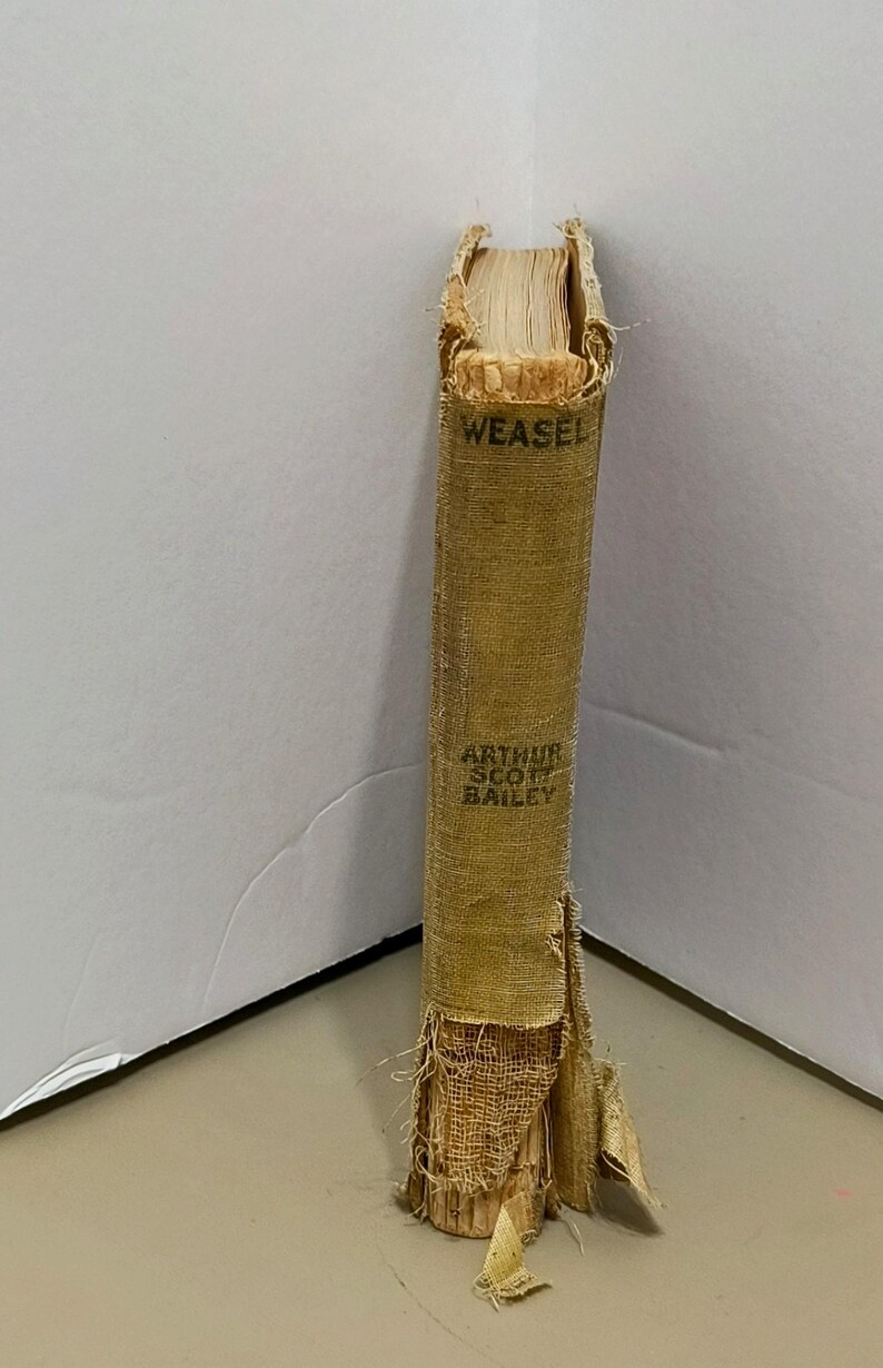 Antique Book, 104 Year Old Copy of "the Tale of Grumpy Weasel," by ...