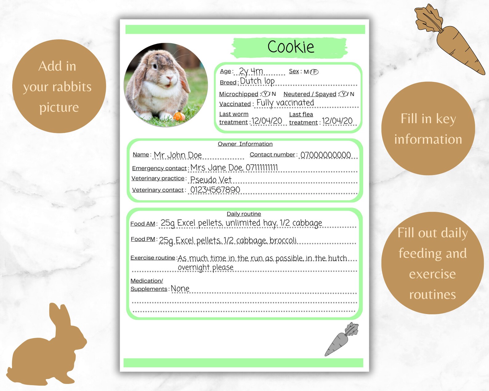 Rabbit Sitting/bunny Boarding Log | Information Sheet/template | A4 ...