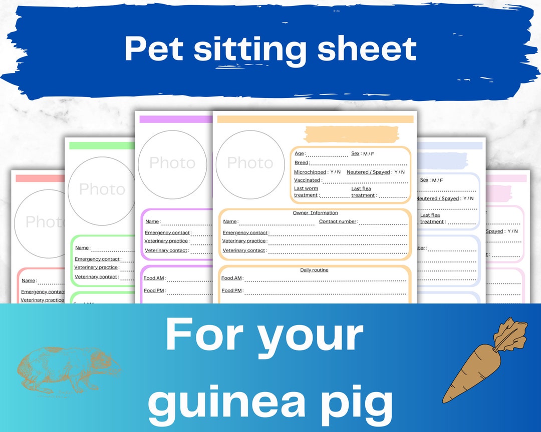 Guinea Pig Sitting| Boarding Log | Information Sheet/template | A4 ...
