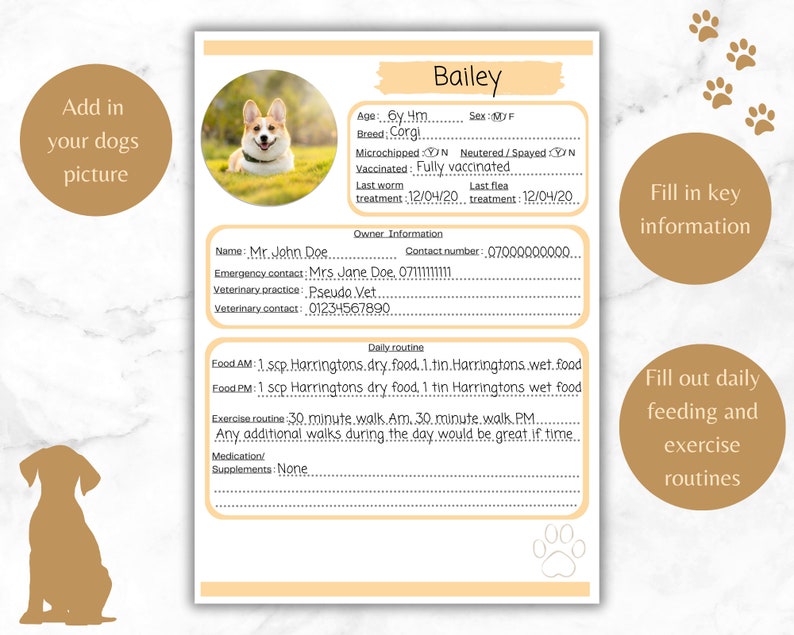 Dog Sitting Information Sheet Printable Canine Boarding Log Pooch A4 ...