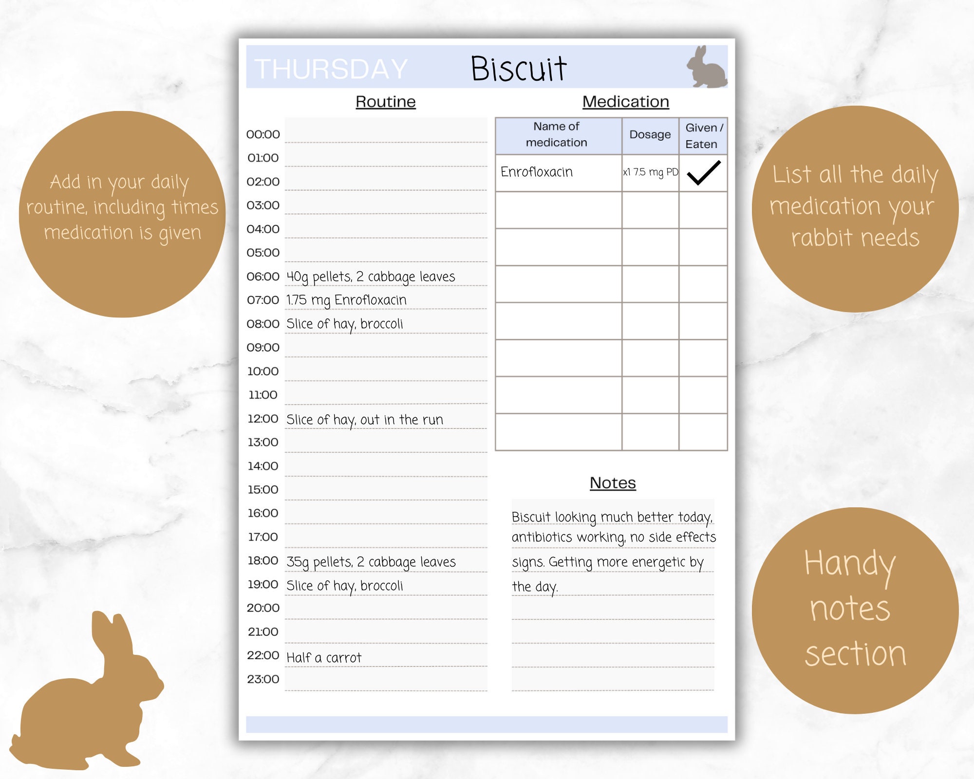 Pet Medication Tracker, Rabbit Pill Log, Colour Bundle, Bunny Daily ...