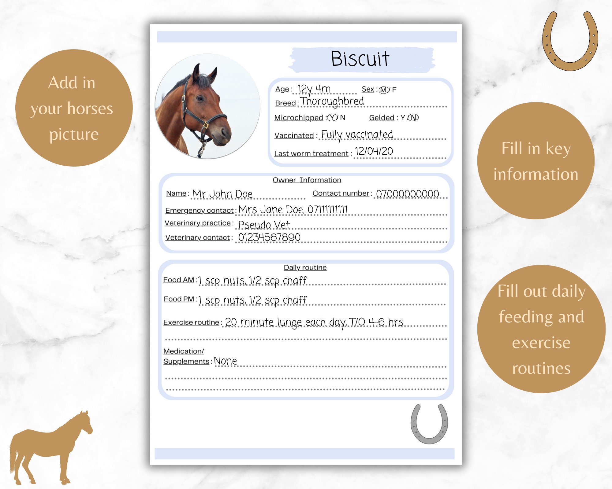 Horse Sitting | Information Sheet | Printable Equine Boarding Log ...