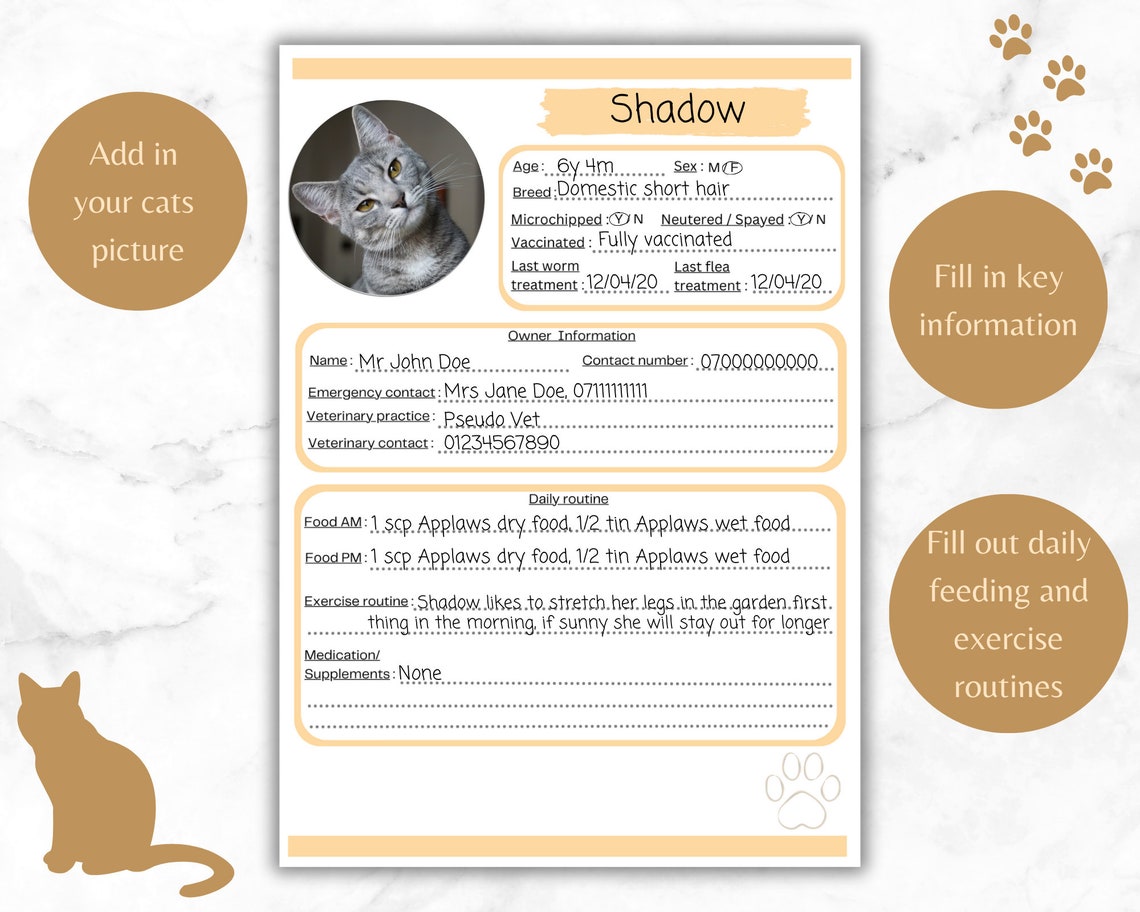 Cat Sitting | Information Sheet | Printable Feline Boarding Log ...