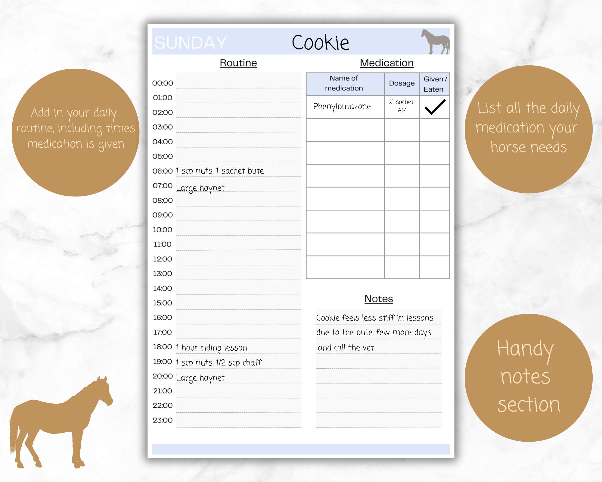 Pet Medication Tracker, Horse Pill Log, Colour Bundle, Pony Daily Sheet ...