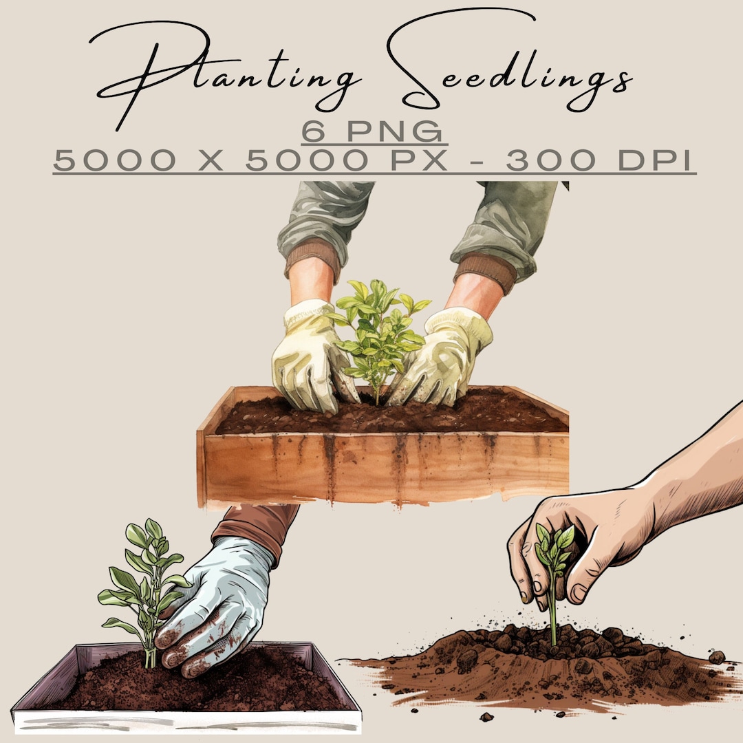 Hands Planting Seedlings Gardening Clipart, Spring Garden PNG ...
