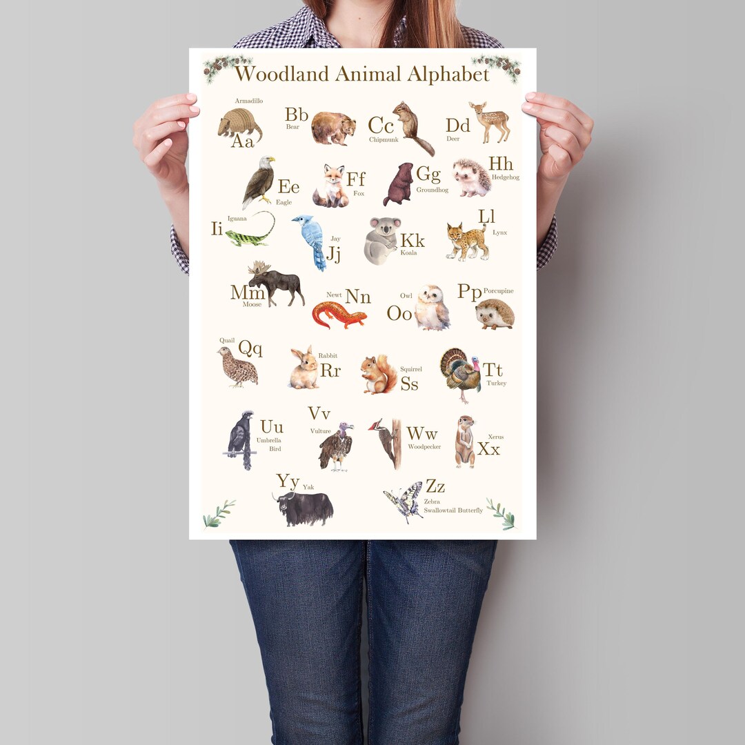 Woodland Alphabet Poster, Cute Animals A to Z Chart, Kindergarten First ...