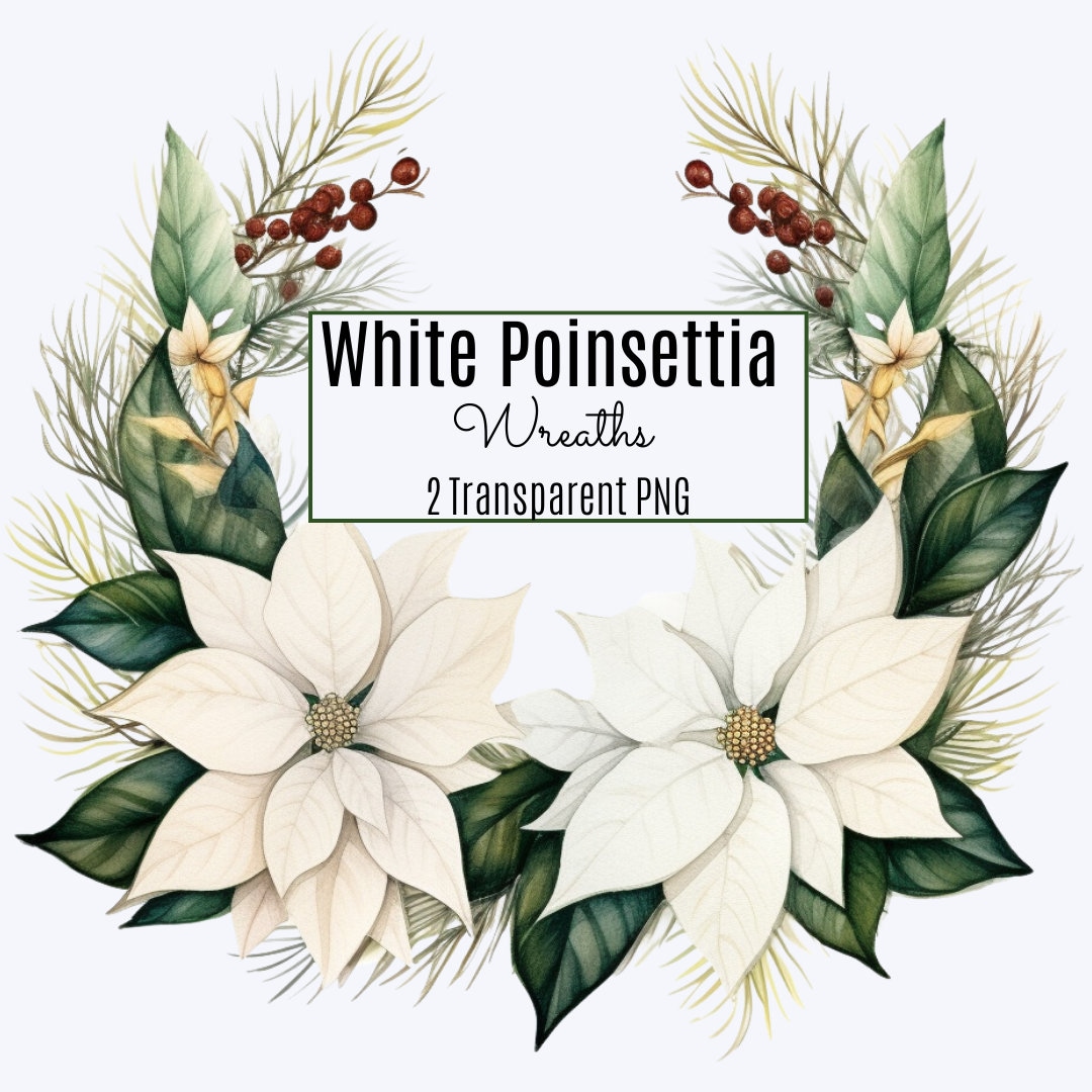 White Poinsettia Clipart, Christmas Wreath Clipart, Floral Wreath PNG ...