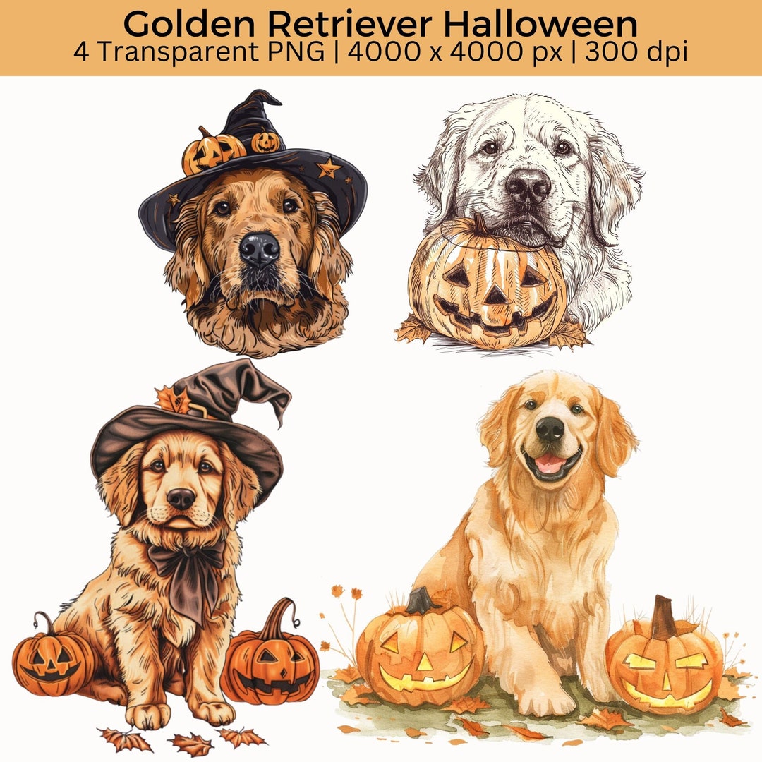 Golden Retriever Halloween Clipart, Cute Dogs Halloween PNG, Witch Hats ...