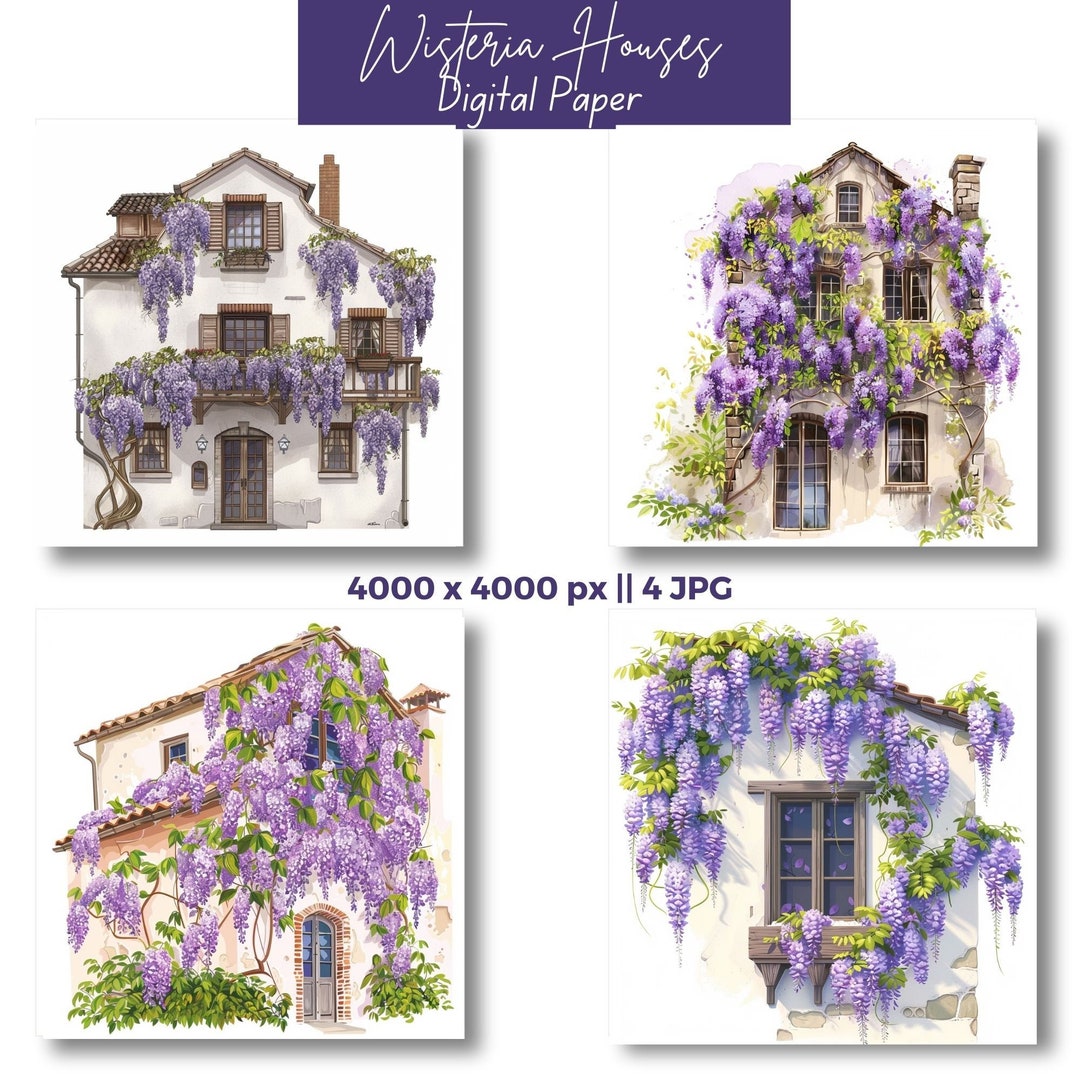 Wisteria Digital Paper, Wisteria on Houses Clipart, JPG Illustrations ...