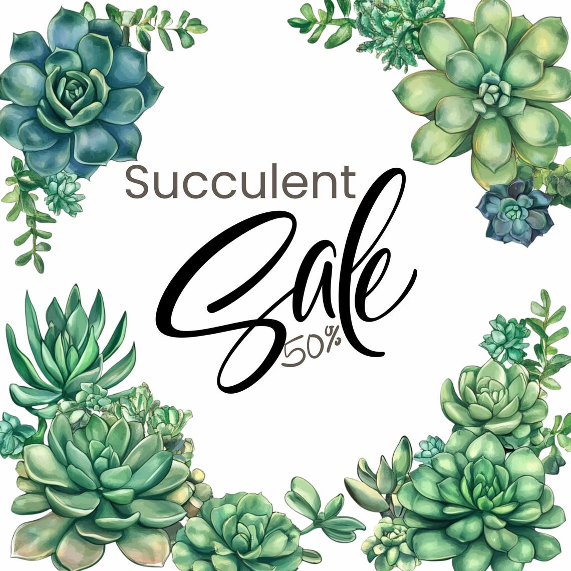 Succulent Frame Clipart, Square Round Frame PNG, Transparent Botanical ...