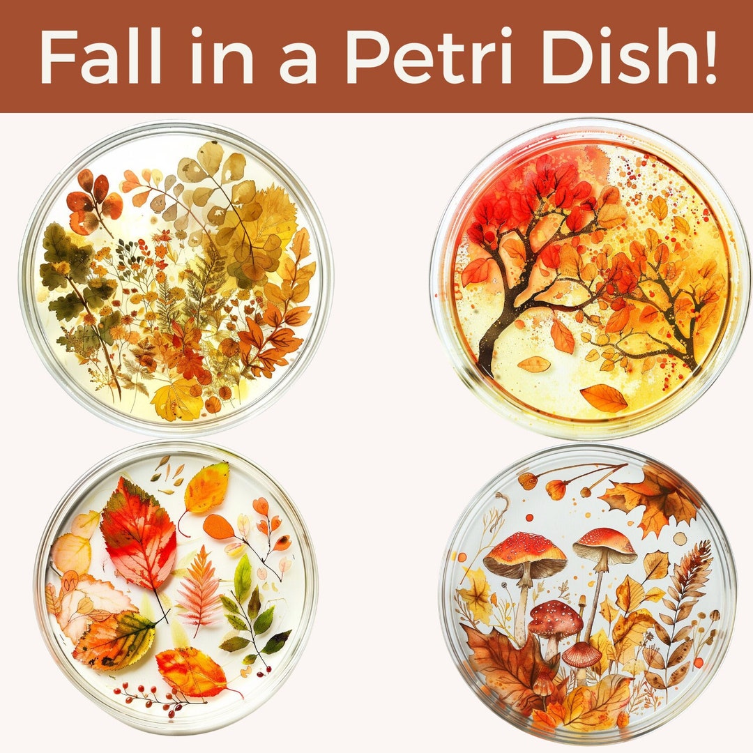 Microbiology Art, Laboratory Fall Science Clipart, Petri Dish, Biology ...