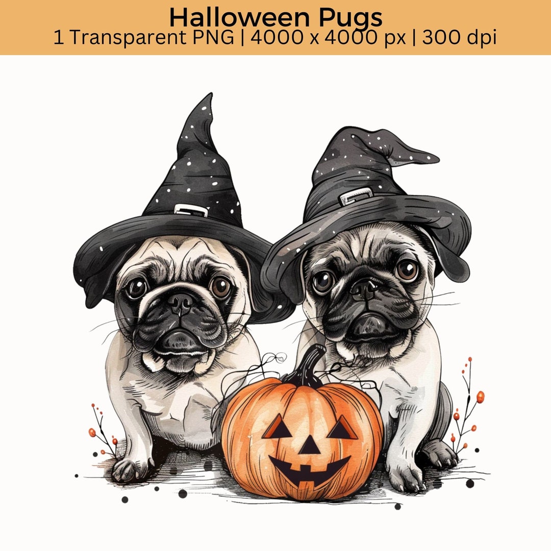 Halloween Pug Clipart, Dogs Halloween PNG, Cute Pugs Wearing Witch Hats ...