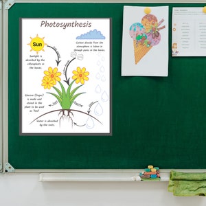 Photosynthesis Poster, Science Teacher, Biology Classroom Anchor Chart ...